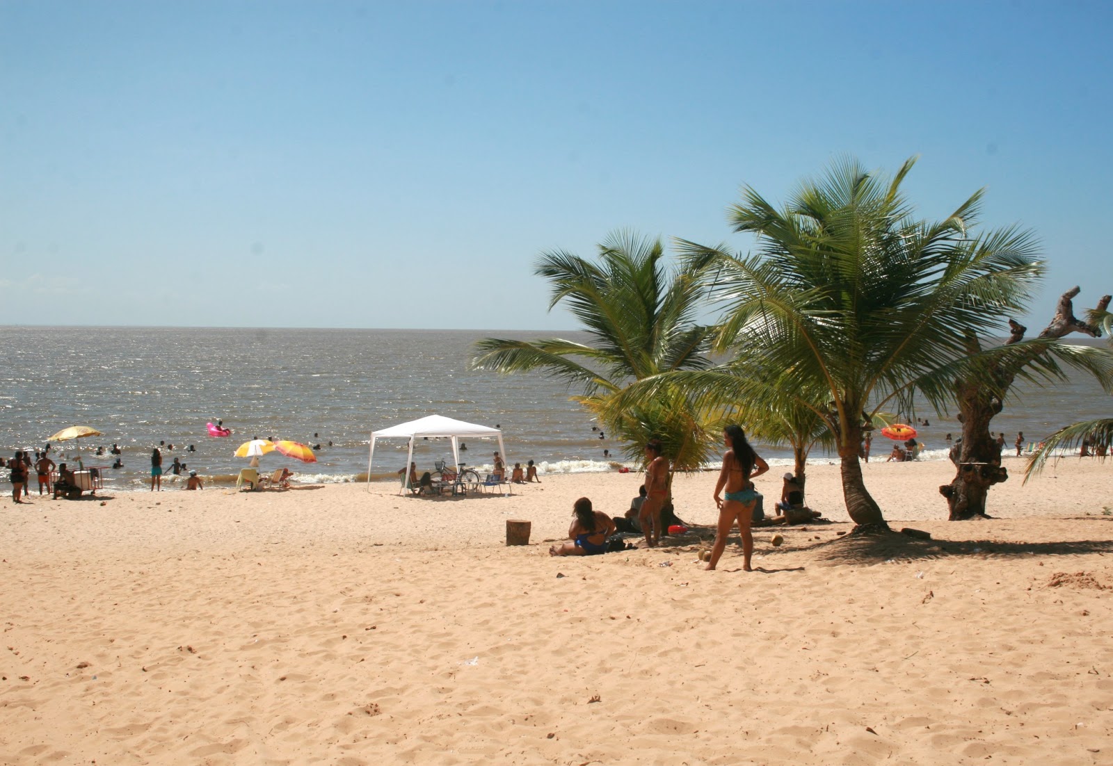 Turismo Paraense: Em julho o Pará é sua opção de férias